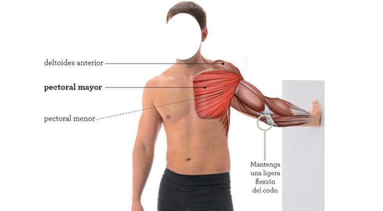 Cómo estirar Pectorales | JL FISIOS